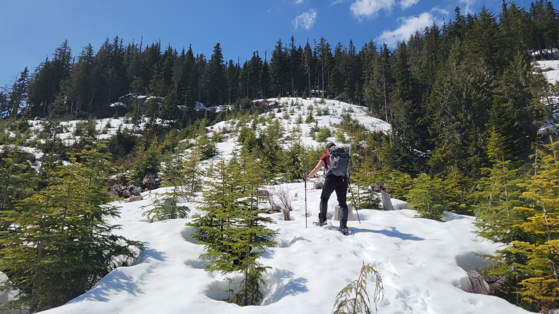 Squawkum Peak & Pretty Peak (aka Sasin Peak ) Loop - April 25, 2025 ...