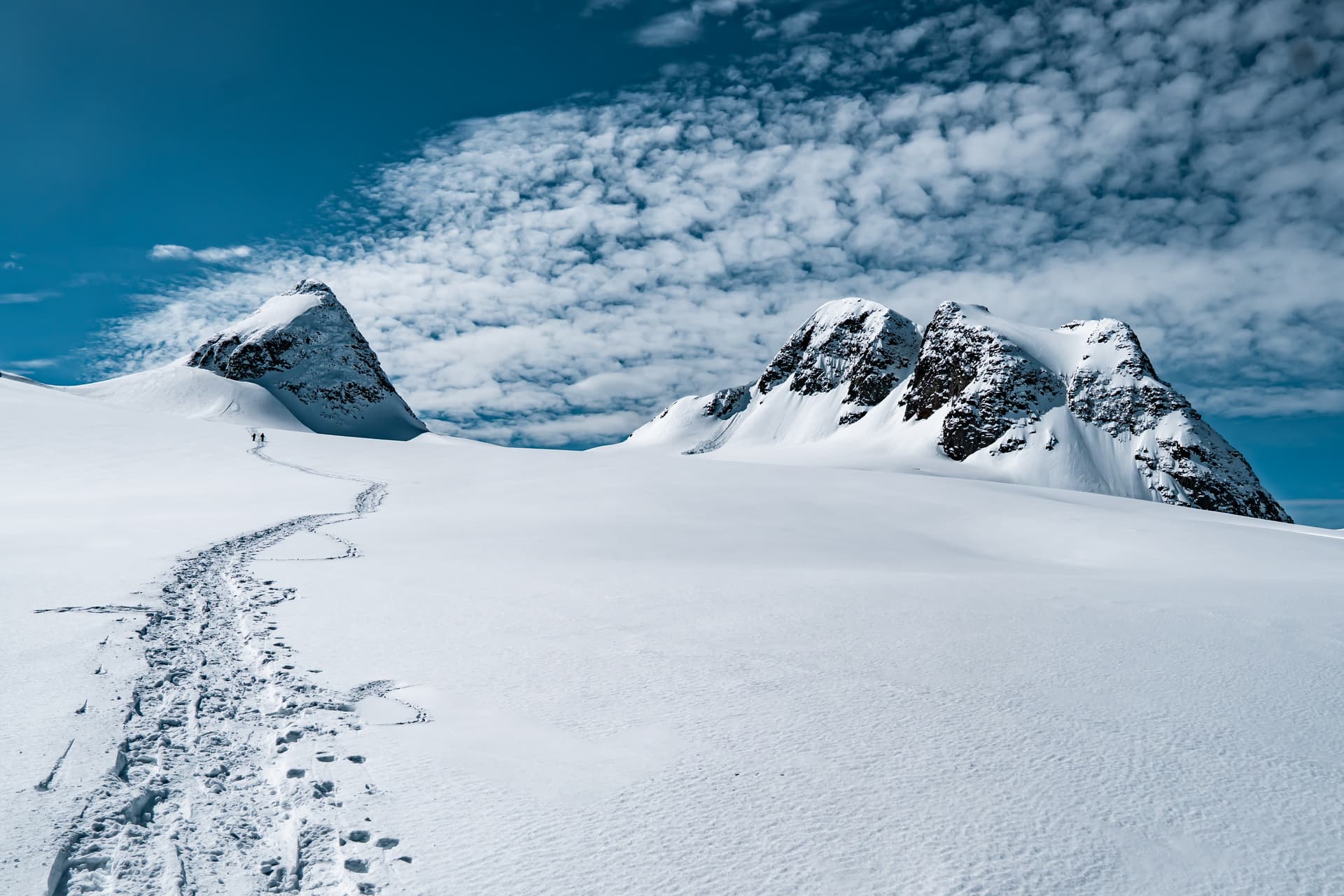 Mount Hartzell - April 5 2025 - Trip Reports - Treeline to Alpine